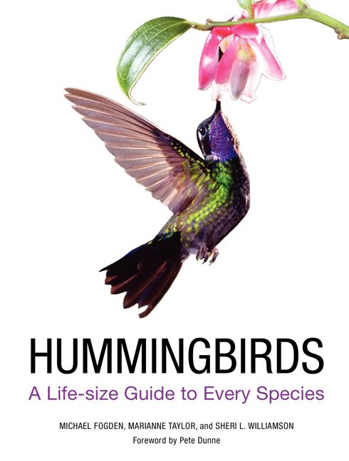 Hummingbirds: A Life-Size Guide to Every Species – World Caribbean Books